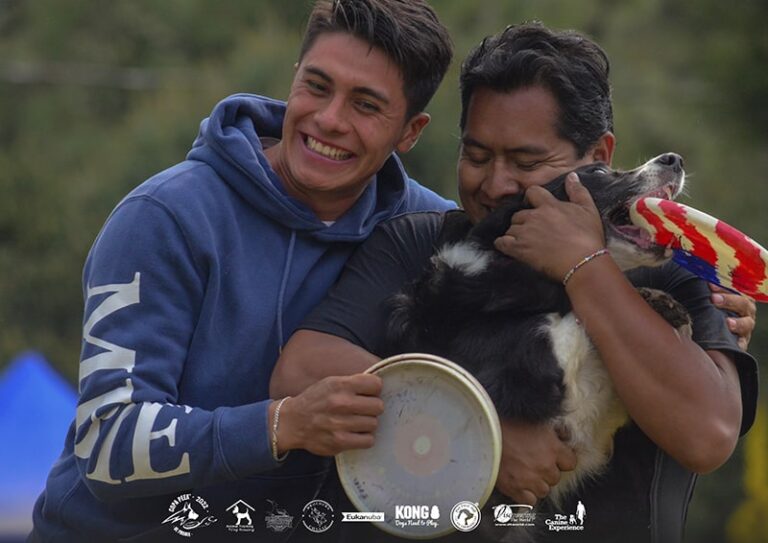 Portfolios - animal training